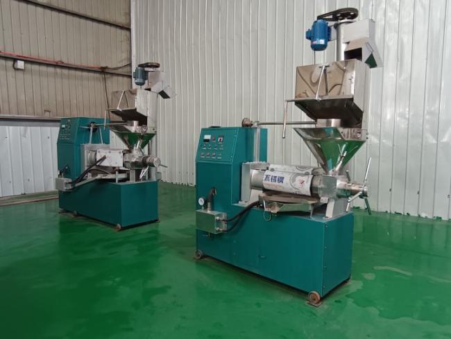 Small Automatic Home Use Cold Press Oil Machine 