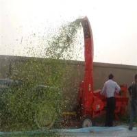 China Animal Feed Processing Chaff Cutter Machine Cow Sheep Hay Grass Chopper for sale