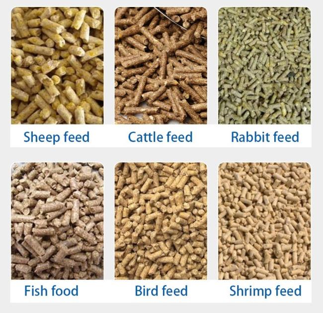 feed pellet machine