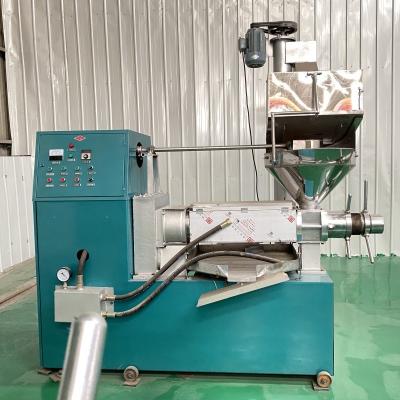 China 6YL-60 Small Automatic Home Use Cold Press Oil Machine 220kg for sale