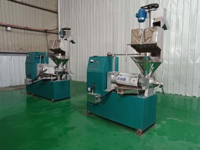 China 6YL-100 van de de Persmachine van de amandelen Automatische Olie de Energie Efficiënte Koude Te koop