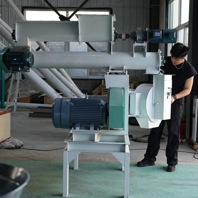 Small Scale Making Pellet Poultry Feed Machine