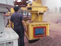 China Fuel Eucalyptus Wood Pellets Machine Vertical Ring Die 3t/ H for sale