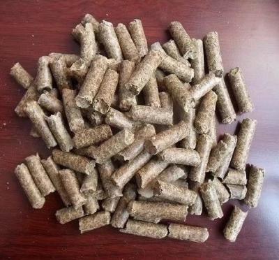 Cina Pallina dell'alfalfa di acciaio inossidabile che fa macchina 55KW Ring Die Vertical Feeding in vendita