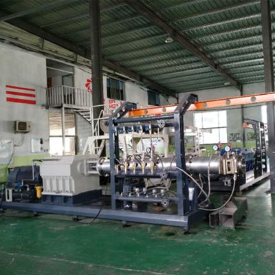 Cina riscaldamento a gas della macchina dell'estrusore a vite dell'acciaio legato di 37kw 500KG/H doppio in vendita