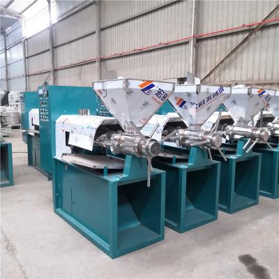 China Small home using cold press oil extraction machine for sale