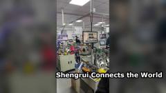 Dongguan Shengrui Technology Co., Ltd. - Promotional Video