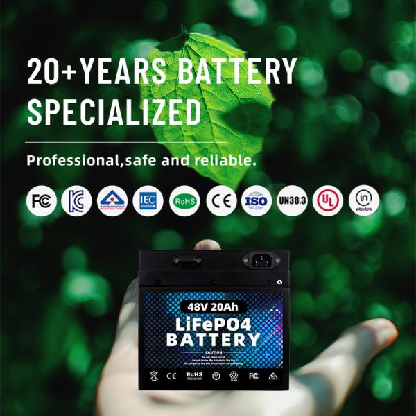 Quality 48V 20Ah Vehicle Battery Pack Ebike,scooter,motorcycle for sale