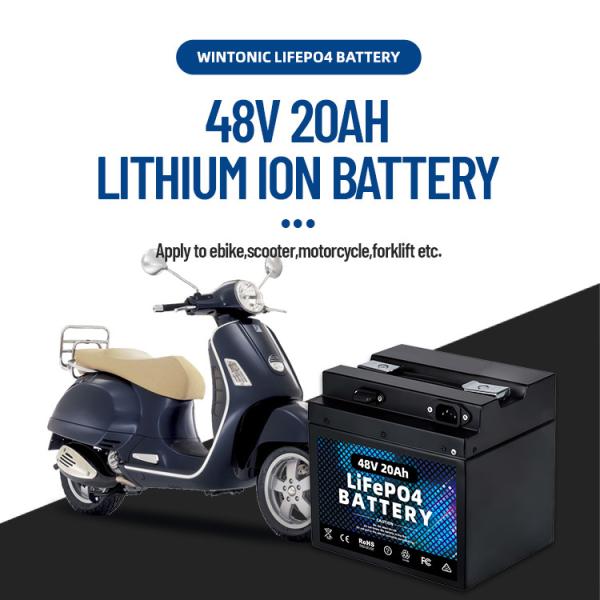 Quality 48V 20Ah Vehicle Battery Pack Ebike,scooter,motorcycle for sale
