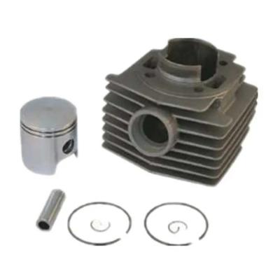 Cina Motore a colori naturali MBK AV10 Kit di blocchi cilindrici con foratura di 47/39 mm in vendita