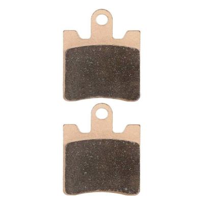Cina Custom FA423 Il perfetto adattamento per Yamaha FJR1300 XV1900 XVS1900 Motorcycle Brake Pad in vendita