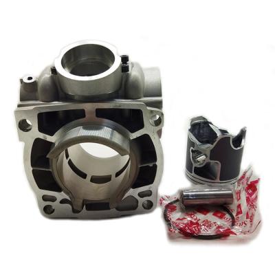 Cina Sperimenta prestazioni senza pari con il nostro kit KTM 300 XC/XC-W/EXC in vendita