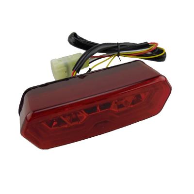 Cina Scopri la potenza della luce posteriore a LED da 12V con segnali di rotazione dei freni in vendita
