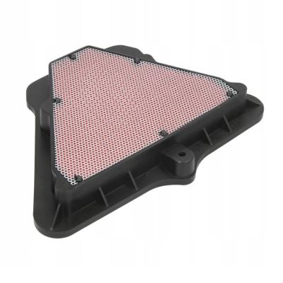 Cina 11013-0041 HFA2918 Filtro d'aria per motociclette per Kawasaki Ninja ZX-10R Disegno personalizzato in vendita