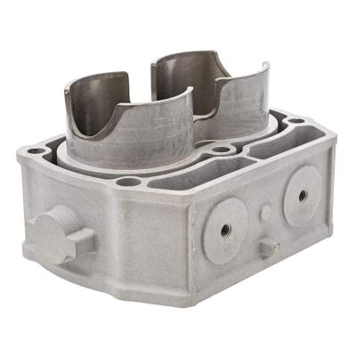 Cina Kit personalizzato per la testa del cilindro Colore naturale Aftermarket per Polaris Ranger RZR 800 in vendita