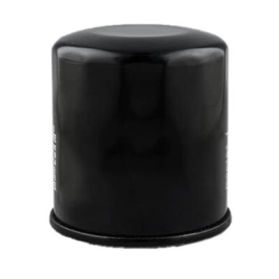 Cina Filtro di olio per motocicli in ferro HF156 per KTM 400EGS 620EGS 620Duke 640Duke in vendita