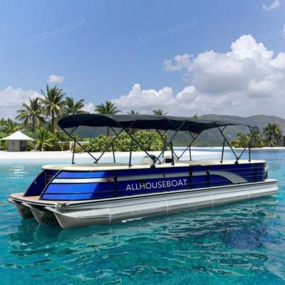 China Barcos pesqueros de lujo de estilo pontón de 12 a 15 personas con capacidad de almacenamiento bajo el asiento for sale