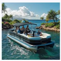 Quality 7.6m Length Single Layer Pontoon Boat 25-30FT with Pontoon Hull Type for sale