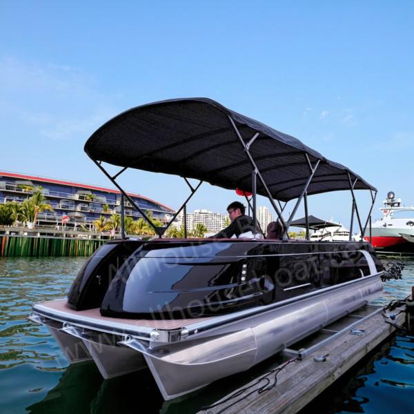Quality Customizable 25ft Fiberglass Pontoon Boat 12-15 People With Swim Ladder for sale