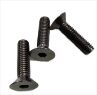 China Titanium Hexagon Socket Countersunk Head Screw Gr1 Gr3 Gr5 for sale