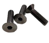 China Titanium Hexagon Socket Countersunk Head Screw Gr1 Gr3 Gr5 for sale