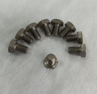 China Short Fully Thread Titanium Hex Head Bolt Screw with Casting Technology for sale