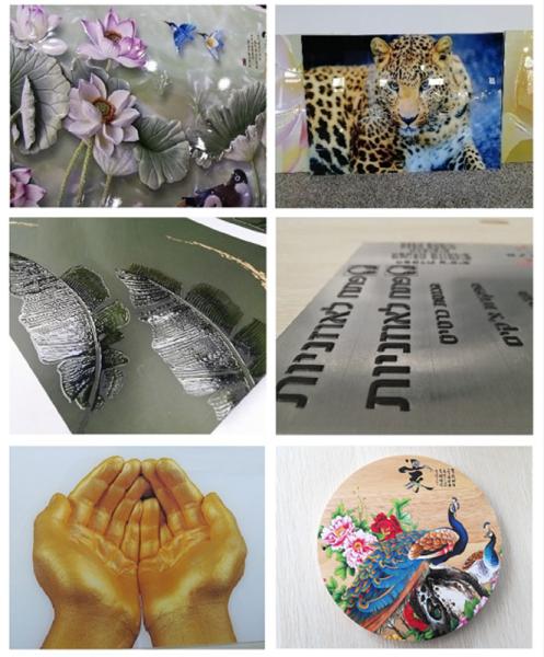Affordable 2 Print Heads Color UV Printer with LED UV Ink