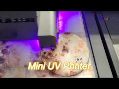 Impressora  UV Procolored personalizada com bocal de alta precisão