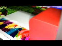 AC 110V/220V Power UV LED Printer Ultrahigh Customizable