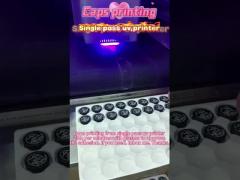 UV-Drucker Flachbodenflaschendruckmaschine mit Onyx Thrive Rip Software