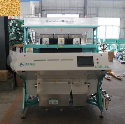 Cina 220V Intelligent Brown Mini Rice Color Sorting Equipment con sensore CCD in vendita