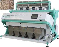 Quality CCD Defected Pecan / Peanut Sorting Machine 220V 50HZ 2455*1524*1790mm for sale
