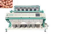 Quality 6 Chutes 384 Channels Peanut Color Sorter Machine For Cashew Nut Sorting for sale