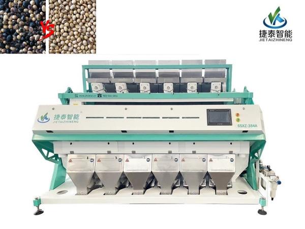 Quality Blue Red Beans Color Sorter CCD Coffee Bean Sorting Machine for sale