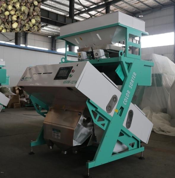 Quality Automatic RGB Garlic Color Sorter , Pepper Sorting Machine Manufacturer for sale