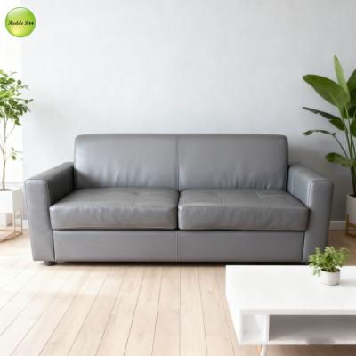China Single Convertible Sofa Bed Sleeping Foldable With Mattress Metal Frame for sale
