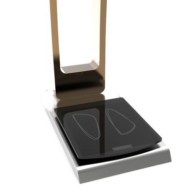China Hotel Luggage Weight Scale 300kg Capacity for Airport Baggage Handling for sale