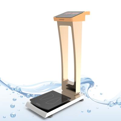 China User-Friendly 0.1kg Division Coin Operated Baggage Weighing Scale for Hotel Guests for sale