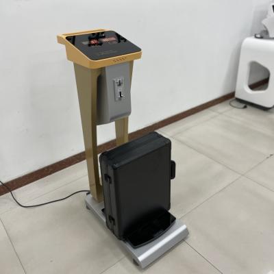 China User-Friendly 0.1kg Division Coin Operated Baggage Weighing Scale for Hotel Guests for sale