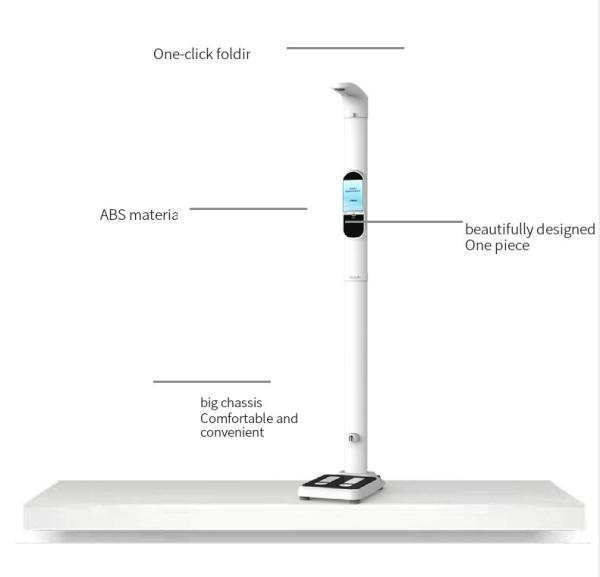 Quality LEKA HW-Z6 ABS Stainless Steel BIM Body Height Weight Scale for Physical Therapy for sale