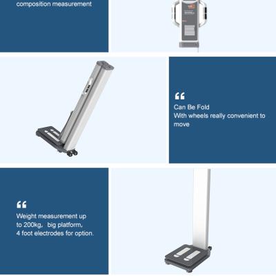 Cina Analisatore di analisi del grasso corporeo a schermo LCD per la valutazione completa della composizione corporea in vendita