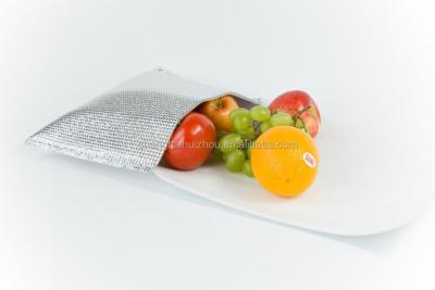 Cina Contenitore di controllo della temperatura Involucro di imballaggio per sacchetti frigoriferi di stoccaggio a freddo e riutilizzabili in vendita
