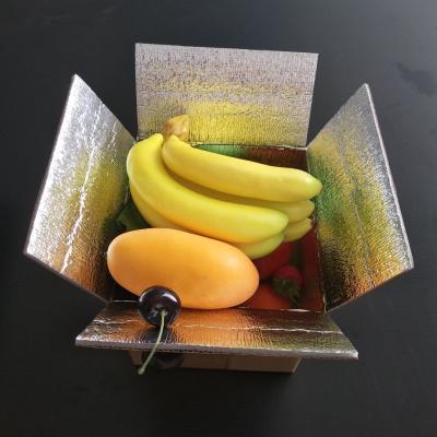 China Caixa de papel revestida com folha de alumínio para entrega térmica de bolos vegetais frutas alimentos Caixa térmica à venda
