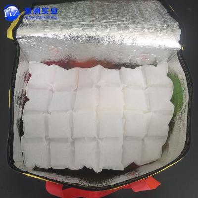 中国 食品輸送用氷袋 40*28cm カスタム冷却セル技術氷 繰り返し使用可能な乾燥氷袋 販売のため