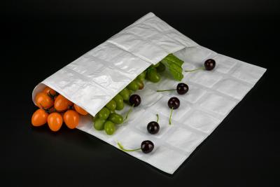 Cina Prodotti di terapia di riabilitazione Techni Pack Custom Cooling Dry Ice Packs For Seafood in vendita