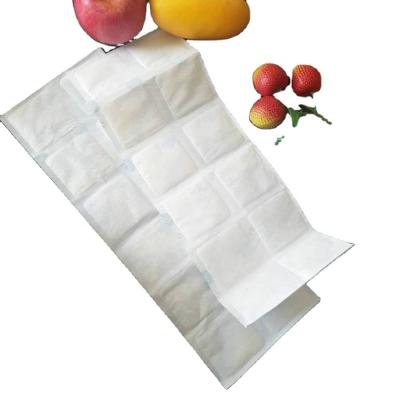 Cina Prodotti di terapia di riabilitazione Techni Pack Custom Cooling Dry Ice Packs For Seafood in vendita