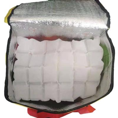 Cina PE Acquatic Express Fresco Ice Pack senza iniezione d'acqua refrigerato 24 cubi Koozies in vendita