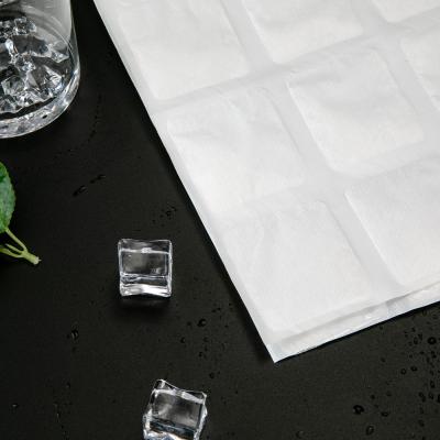 Cina ghiaccio secco confezionato confezioni di ghiaccio tecnico foglio di ghiaccio per la riabilitazione forniture di terapia 19x13cm in vendita