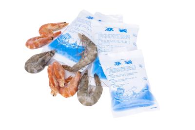 Cina Ordine personalizzato accettato pacchetto di ghiaccio riutilizzabile tipo iniezione d'acqua per alimenti da campeggio all'aperto in vendita