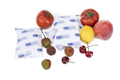 Cina Big Ice Pack Gel Reusable Cooler Pack Per Bottiglia Orso Vino Raffreddamento Sacchetto da pranzo in vendita